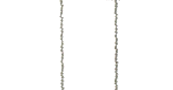 527 Special Ops Ladder - 10 meters