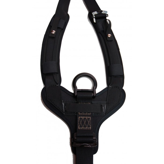 Full Body Harnesses