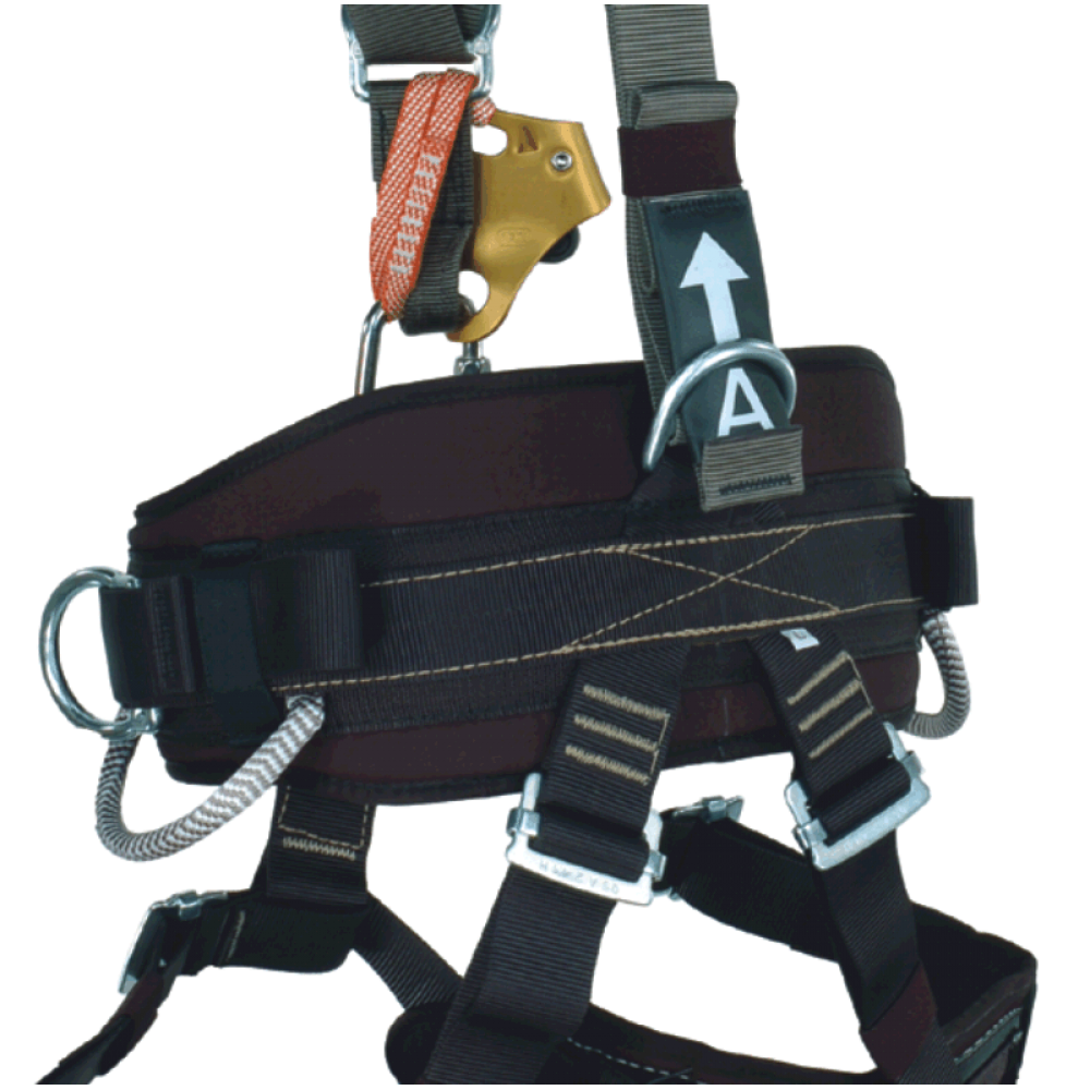 387 Rope Access Harness